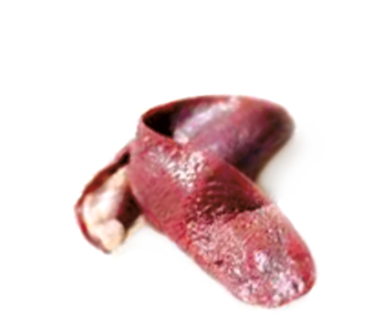 Real Dog Beef Spleen